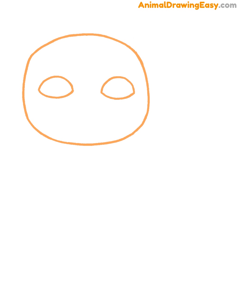 How to Draw a Cat - Animaldrawingeasy.com