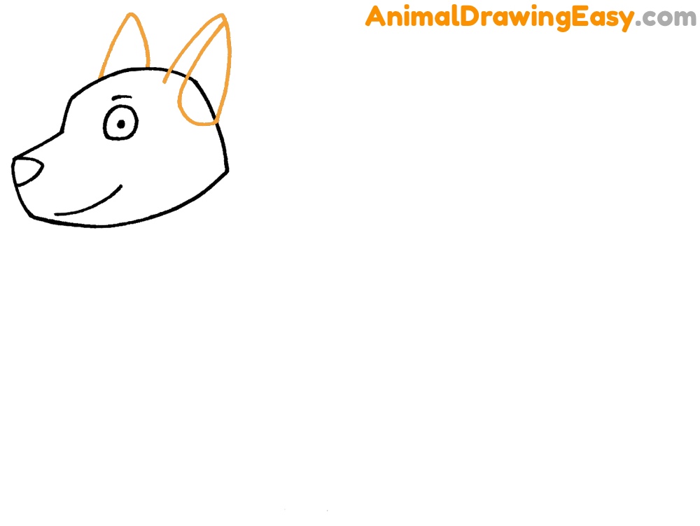 How to Draw a Dog - Animaldrawingeasy.com