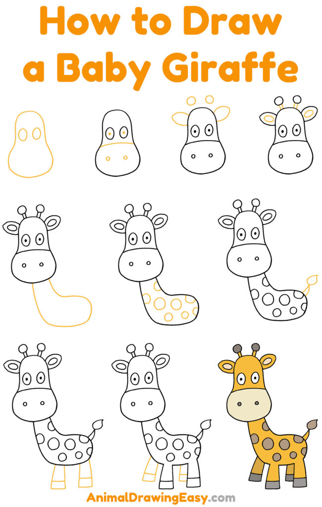 How to Draw a Baby Giraffe - Animaldrawingeasy.com