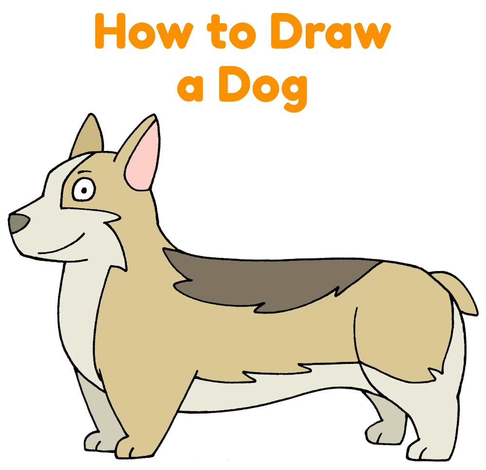 How to Draw a Dog - Animaldrawingeasy.com
