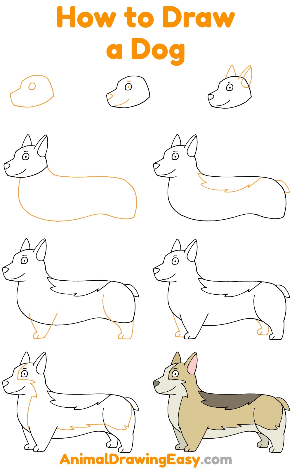 How to Draw a Dog - Animaldrawingeasy.com