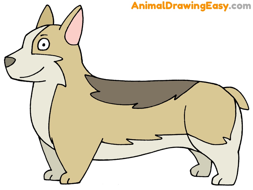 How to Draw a Dog - Animaldrawingeasy.com
