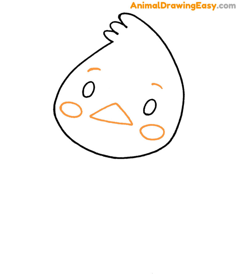 How to Draw a Baby Bird - Animaldrawingeasy.com