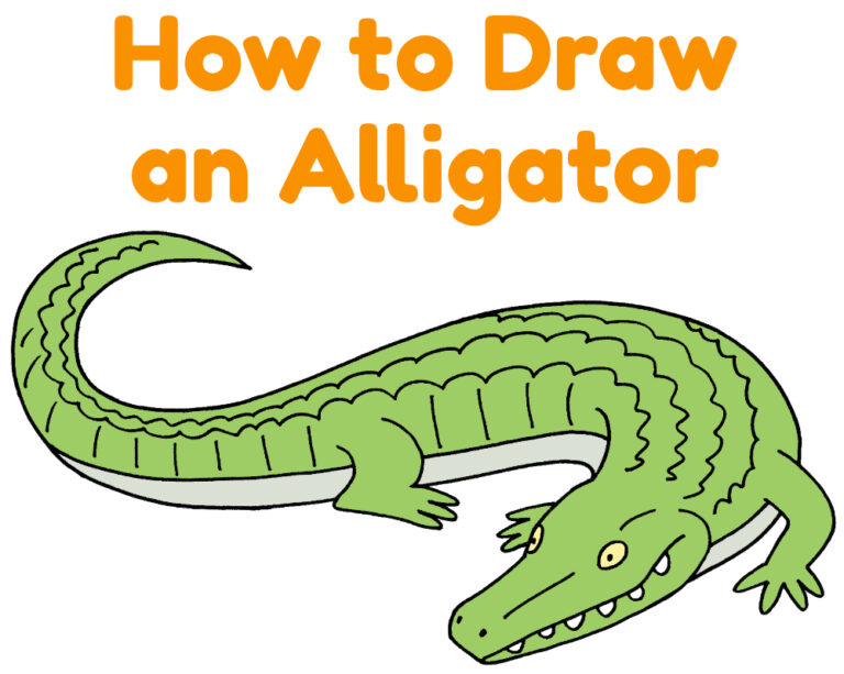 How to Draw an Alligator - Animaldrawingeasy.com