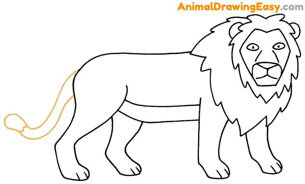 How to Draw a Lion - Animaldrawingeasy.com