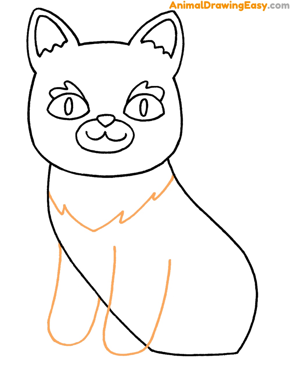How to Draw a Cat - Animaldrawingeasy.com