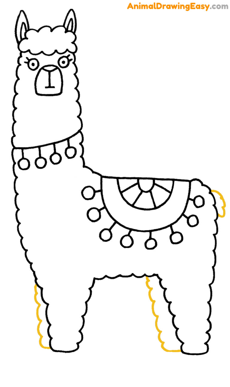 How to Draw an Alpaca - Animaldrawingeasy.com