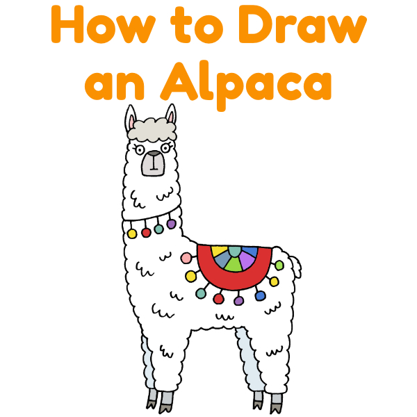 How to Draw an Alpaca - Animaldrawingeasy.com