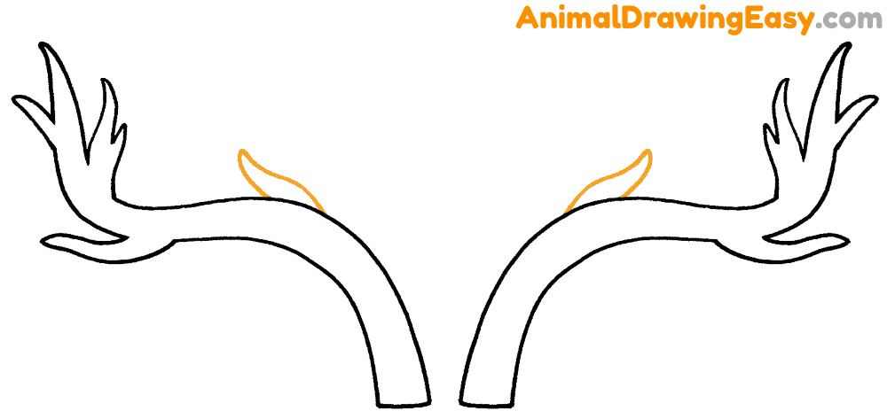 How to Draw Antlers - Animaldrawingeasy.com