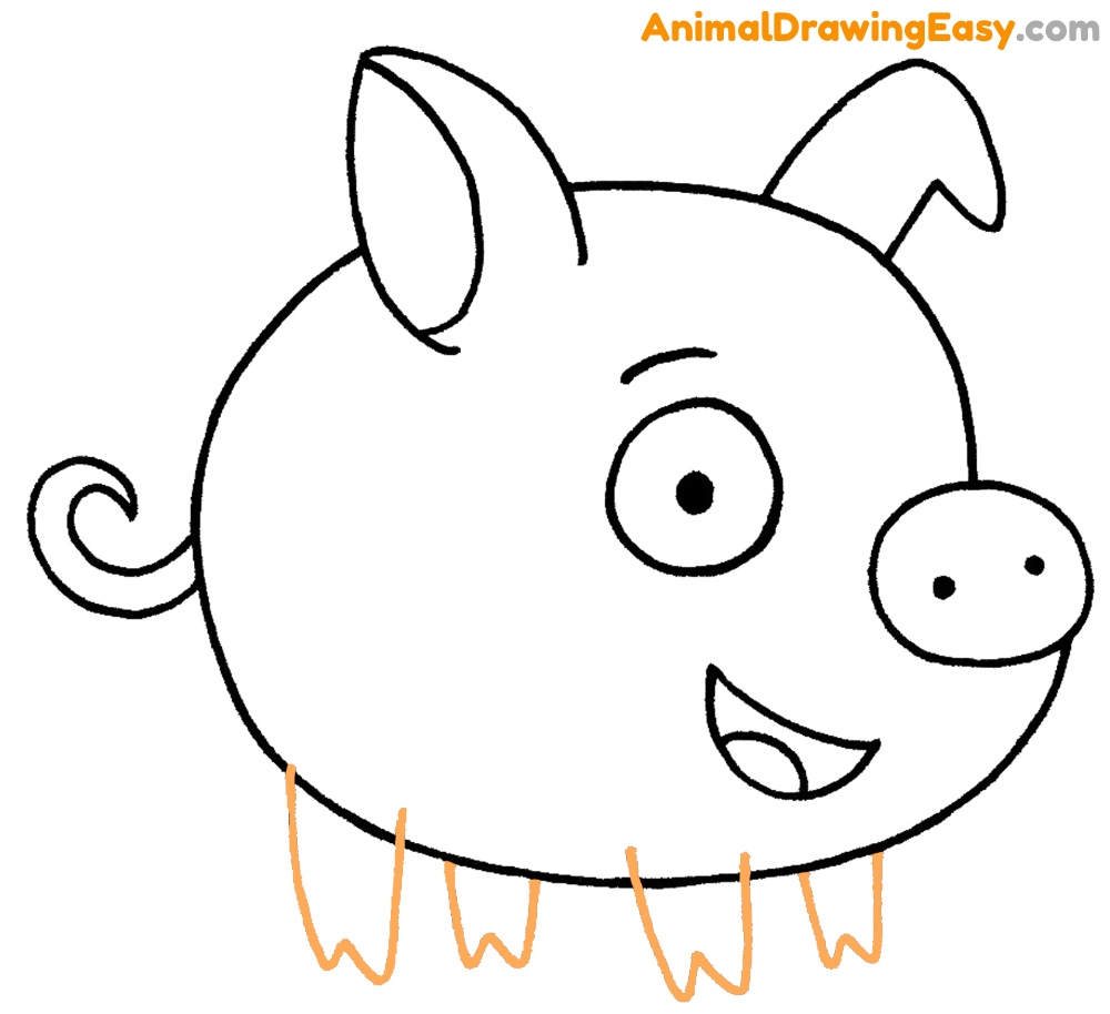 How to Draw a Baby Pig - Animaldrawingeasy.com