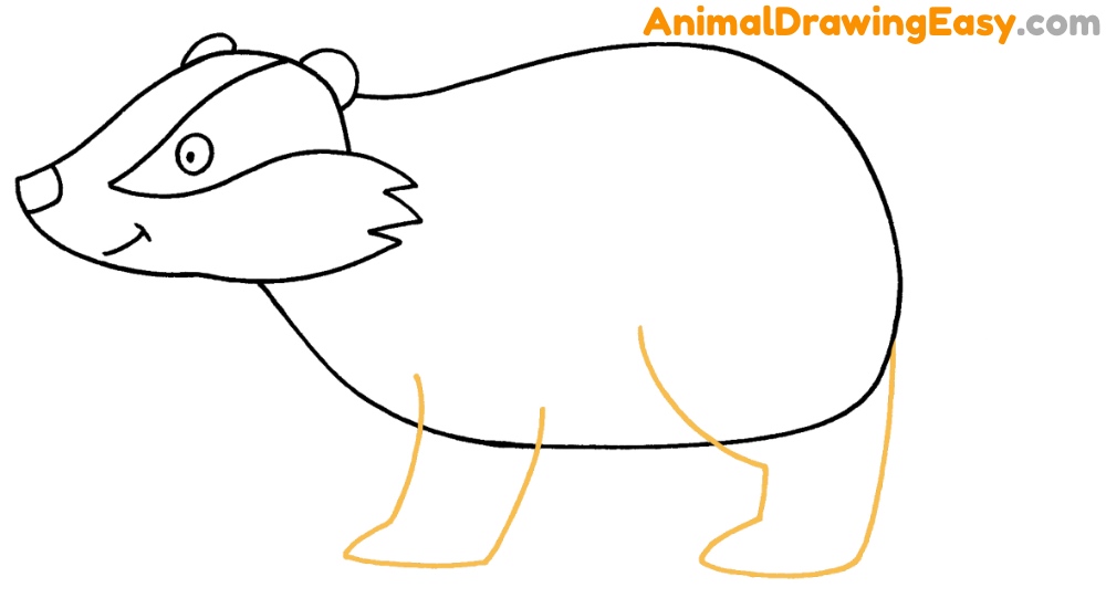 How to Draw a Badger - Animaldrawingeasy.com