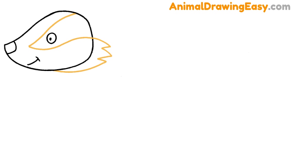 How to Draw a Badger - Animaldrawingeasy.com