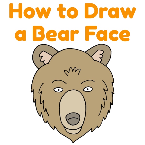 How To Draw A Bear Head