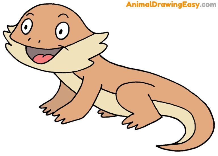 How to Draw a Bearded Dragon - Animaldrawingeasy.com