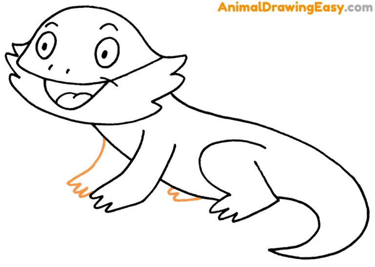 How to Draw a Bearded Dragon - Animaldrawingeasy.com