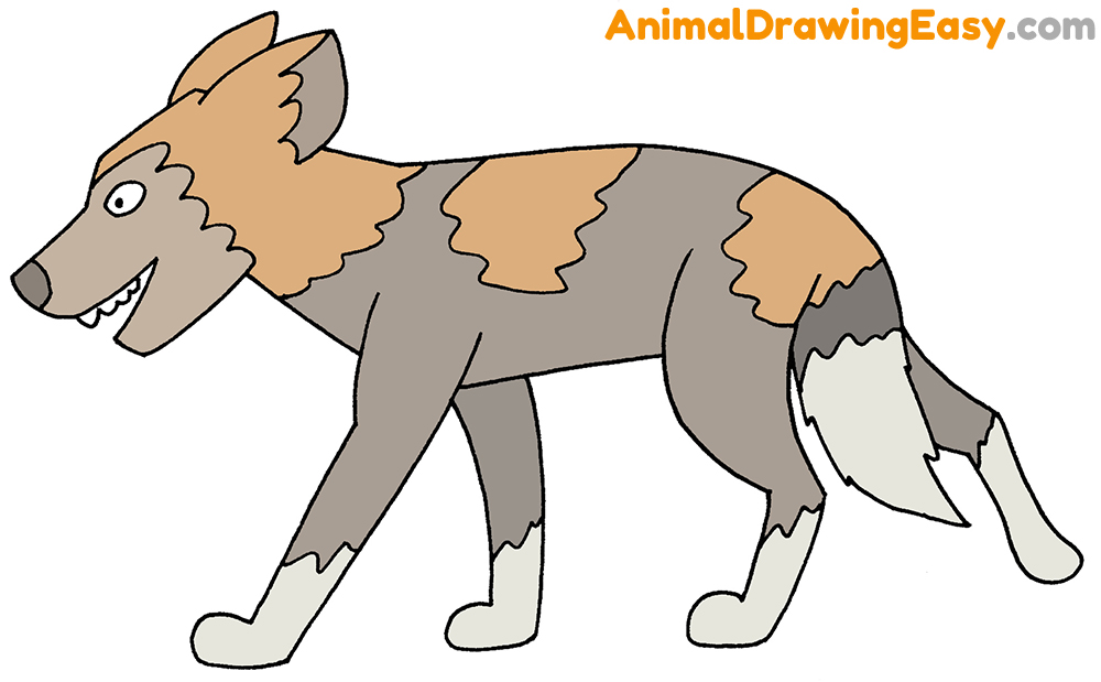 How to Draw an African Wild Dog - Animaldrawingeasy.com