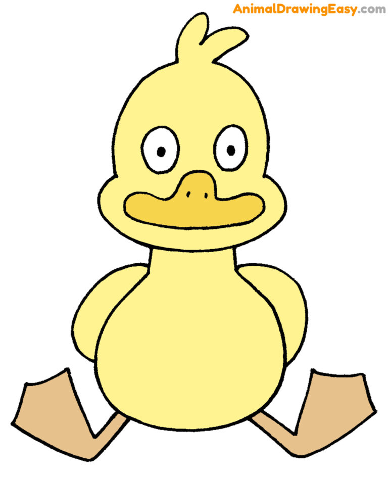 How to Draw a Baby Duck - Animaldrawingeasy.com