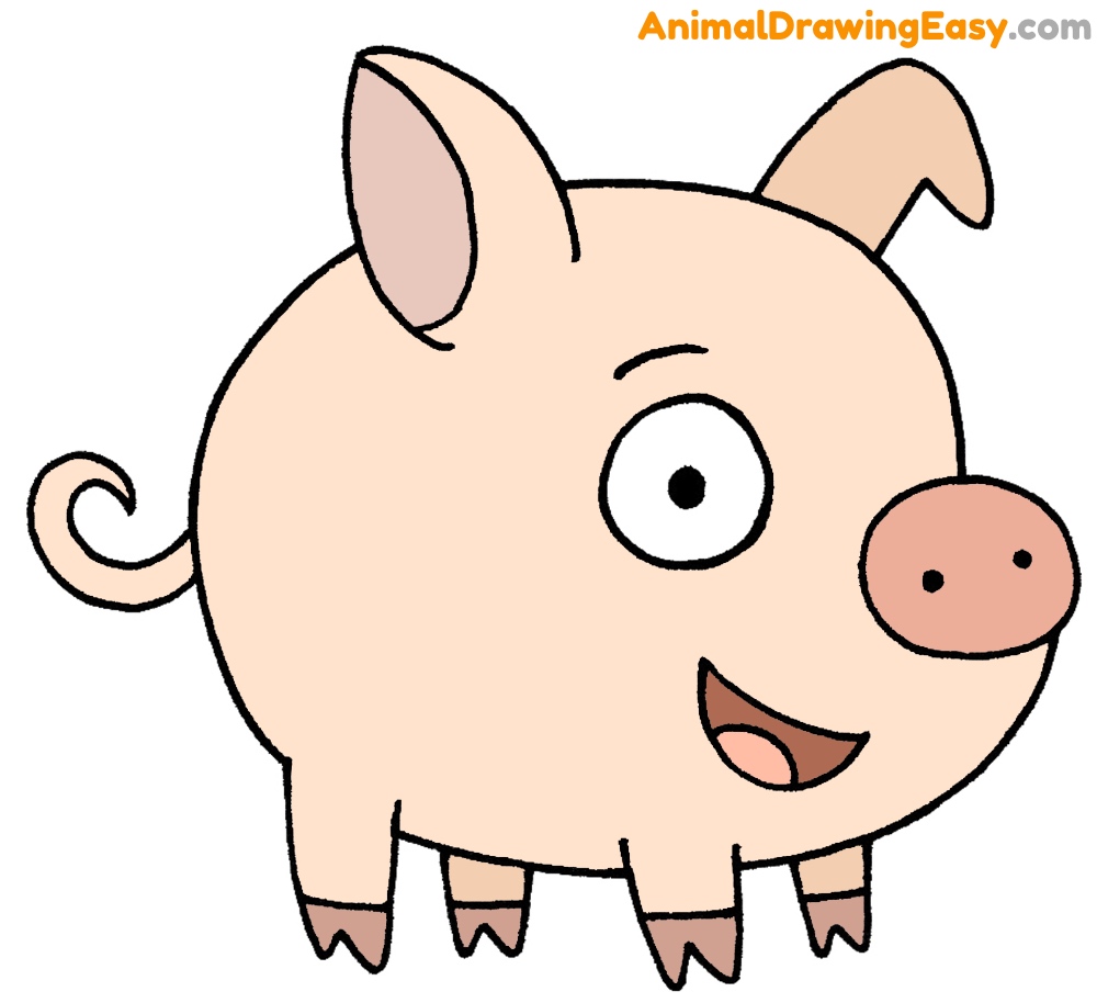 How to Draw a Baby Pig - Animaldrawingeasy.com