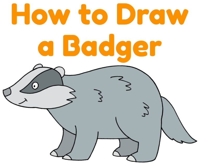 How to Draw a Badger - Animaldrawingeasy.com