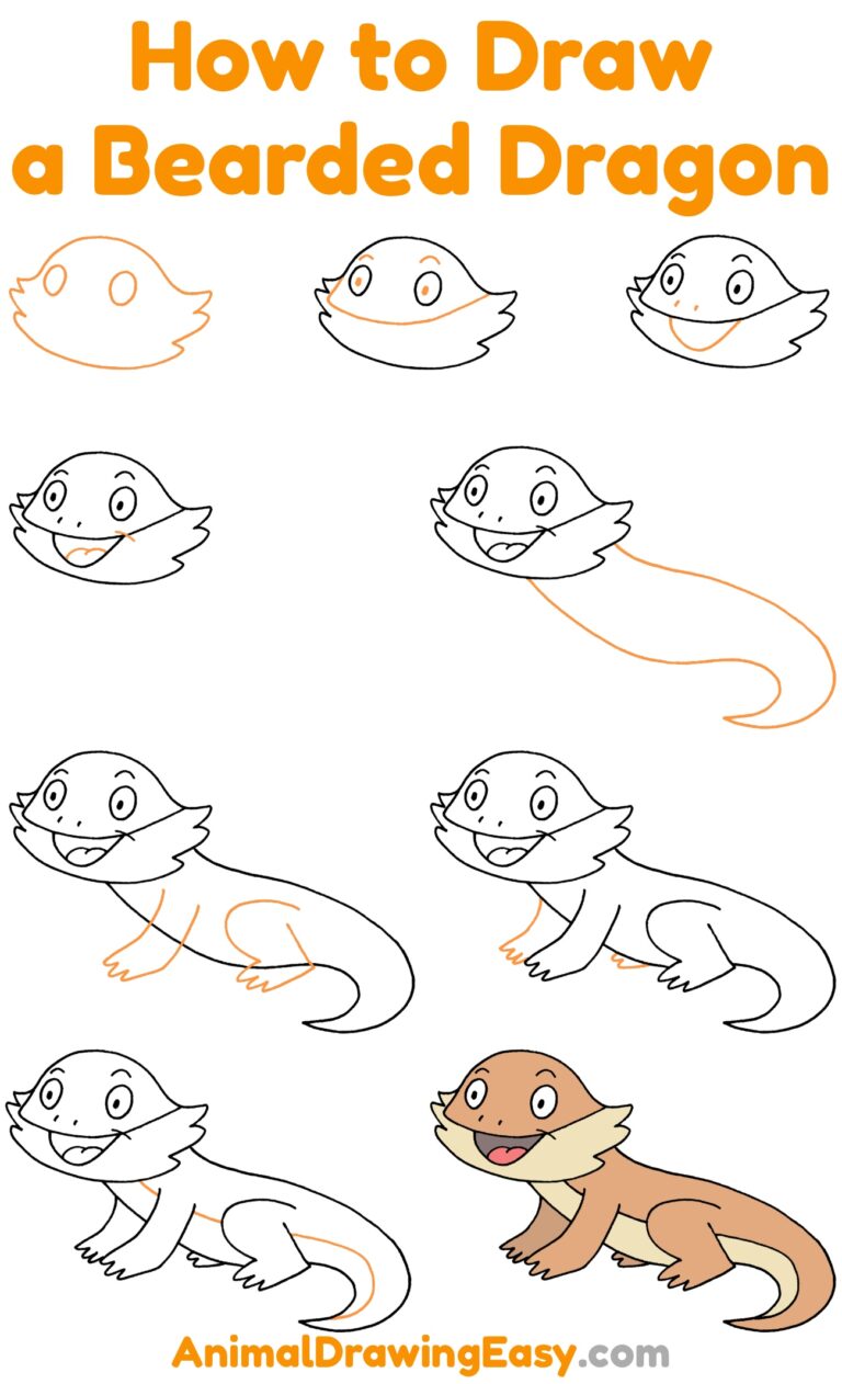 How to Draw a Bearded Dragon - Animaldrawingeasy.com