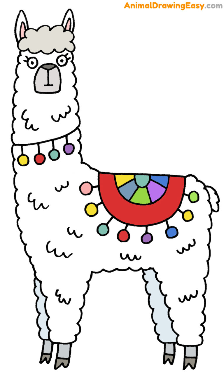 How to Draw an Alpaca - Animaldrawingeasy.com