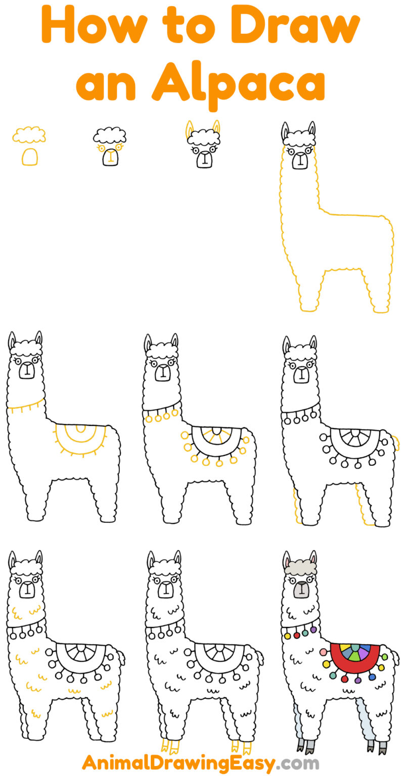 How to Draw an Alpaca - Animaldrawingeasy.com