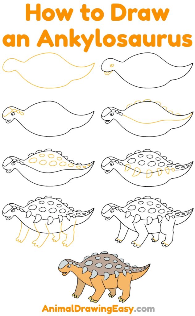 How to Draw an Ankylosaurus - Animaldrawingeasy.com