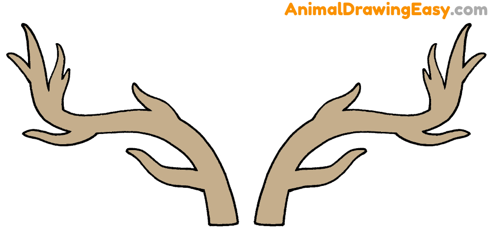 How to Draw Antlers - Animaldrawingeasy.com