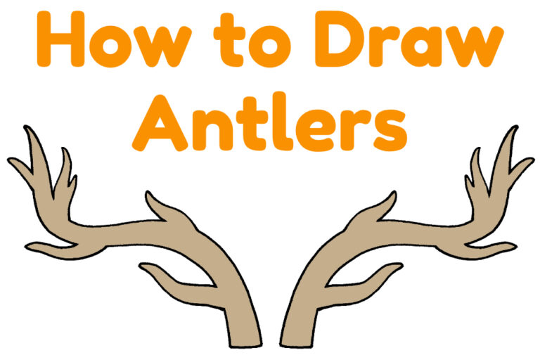 How to Draw Antlers - Animaldrawingeasy.com