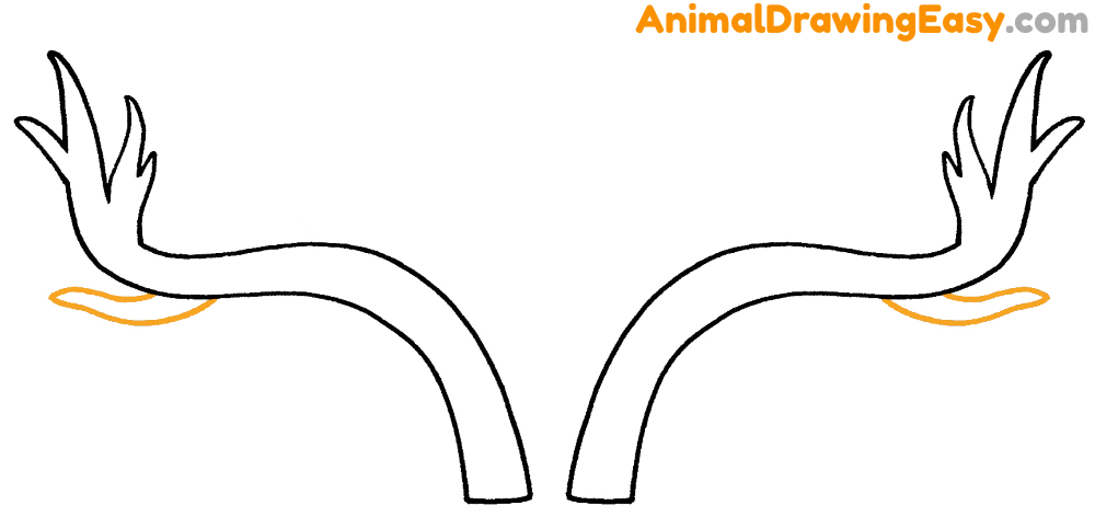 How to Draw Antlers - Animaldrawingeasy.com