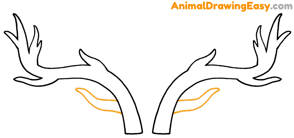 How to Draw Antlers - Animaldrawingeasy.com