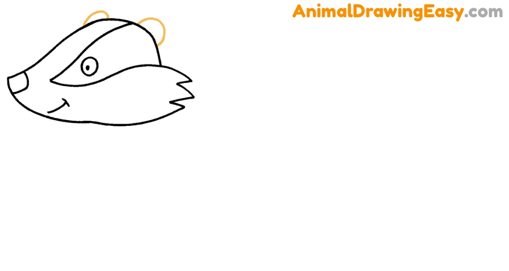 How to Draw a Badger - Animaldrawingeasy.com