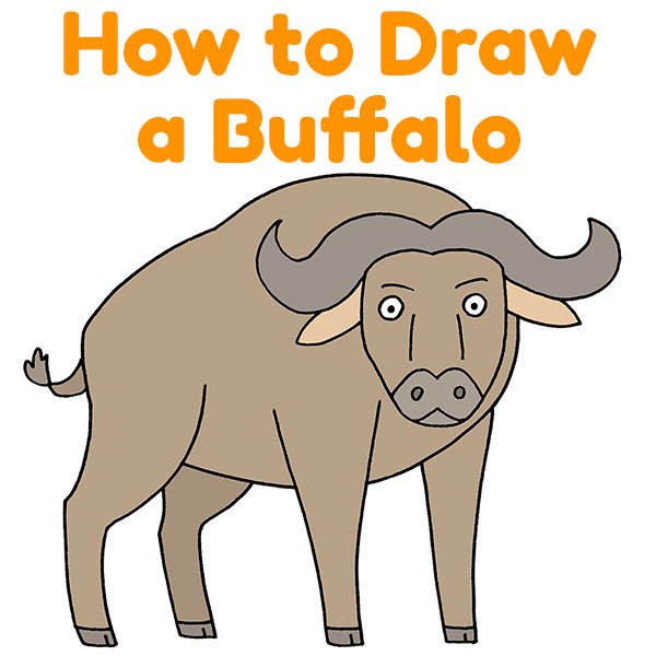 How to Draw a Buffalo - Animaldrawingeasy.com
